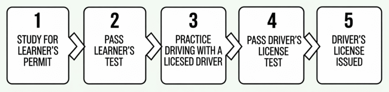 K53 Master Guide: Your Path to South African Learner's and Driver's ...